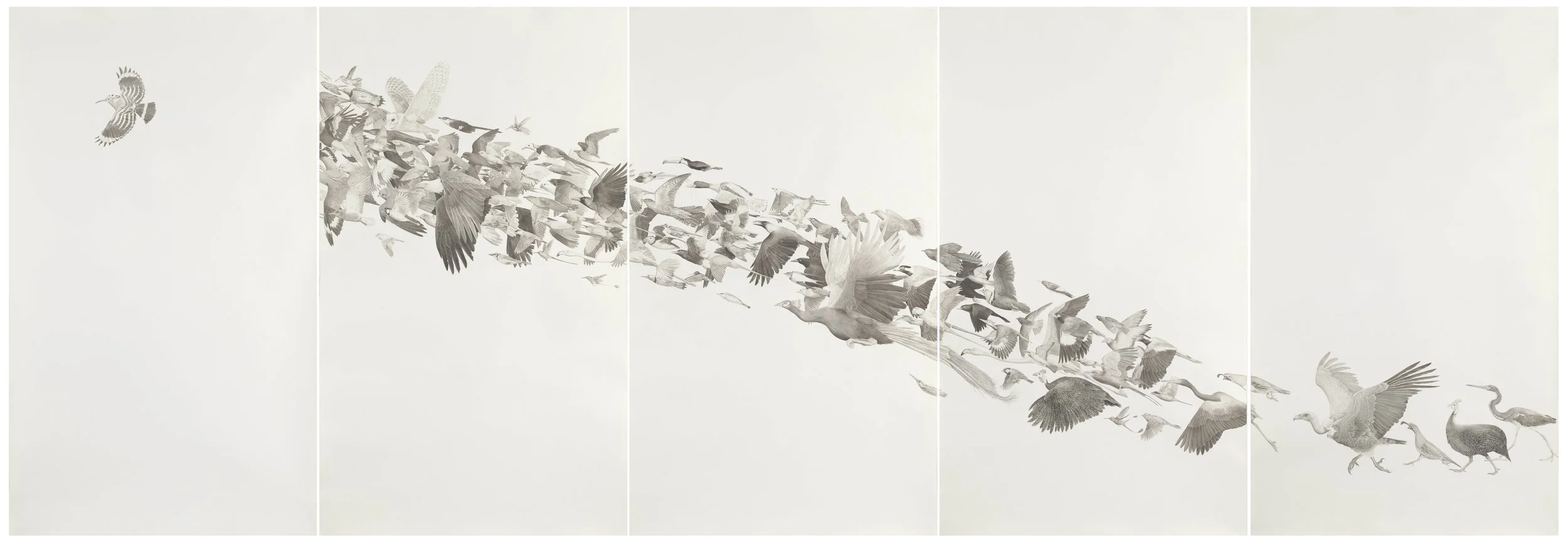 Ali Kazim: Suspended in Time — THE MEHFIL