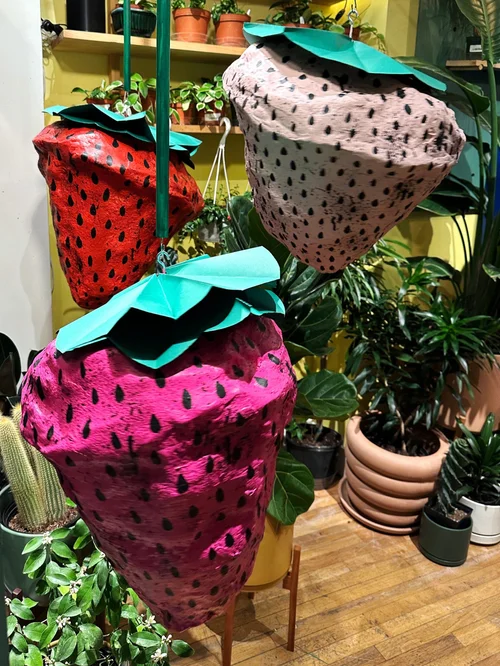 Retail Store Window Design for Tend Greenpoint in Brooklyn New York ...