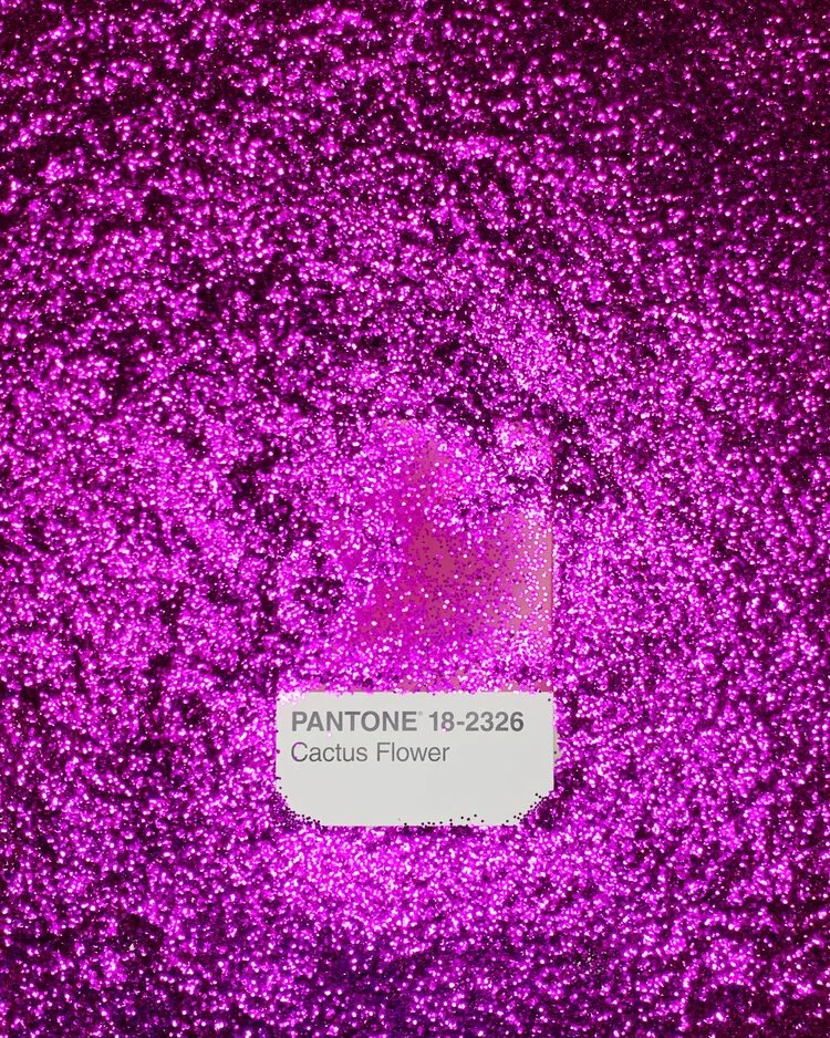 Pantone Pop Holiday Greeting Card — Sizemore Color Studios