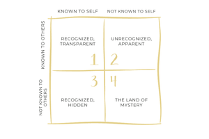 Mapping our Awareness with the Johari Window