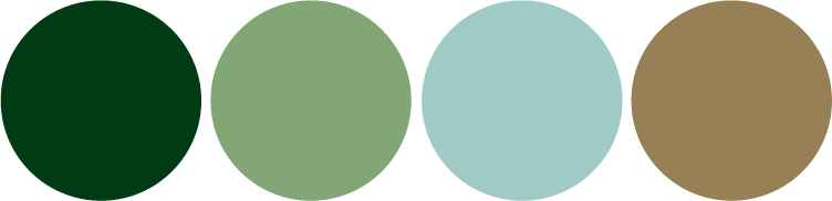 Choosing the Right Color Palette for Your Website in 2025