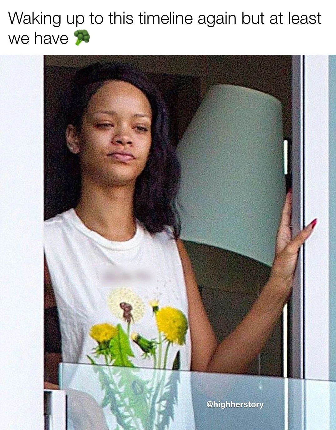 Weed Memes for Stoner Girls — High Herstory