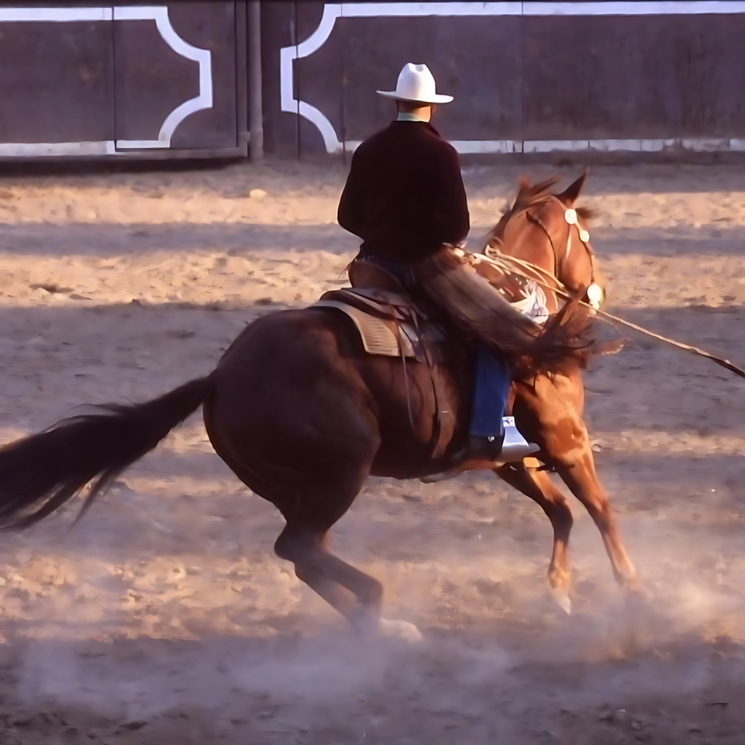 The Beauty of Movement — SUSAN SEMBER