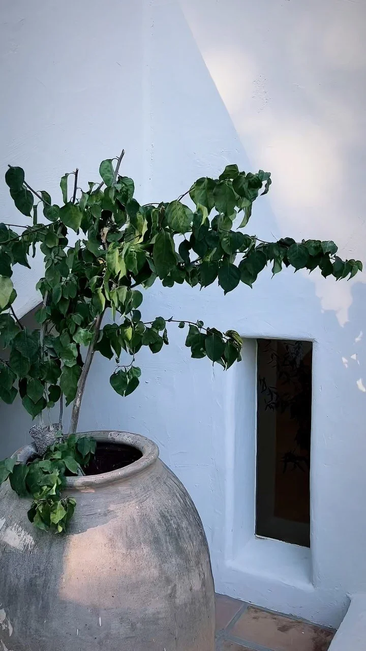 Javea Hotel Ritual de Terra Resort and Spa