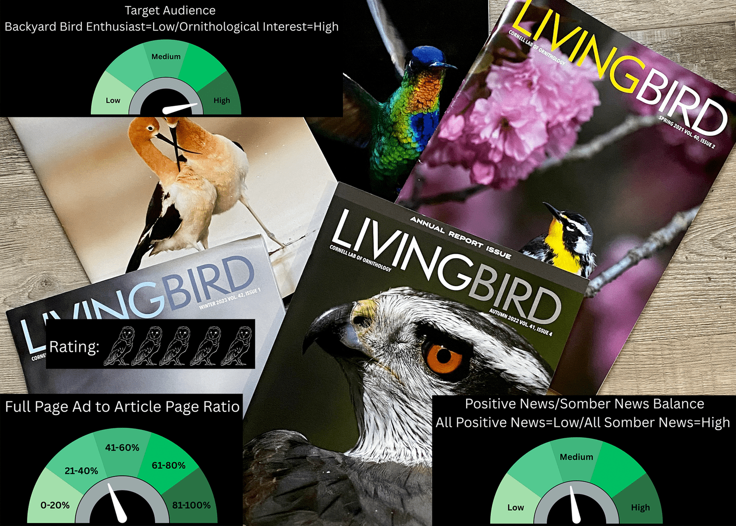 Bird Magazine Reviews — Birding Pictures