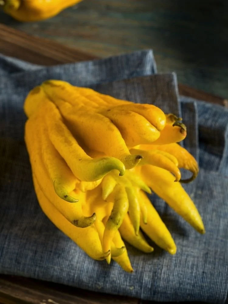 Nature’s Best: An Interview with The FruitGuys on What Fruit is in ...