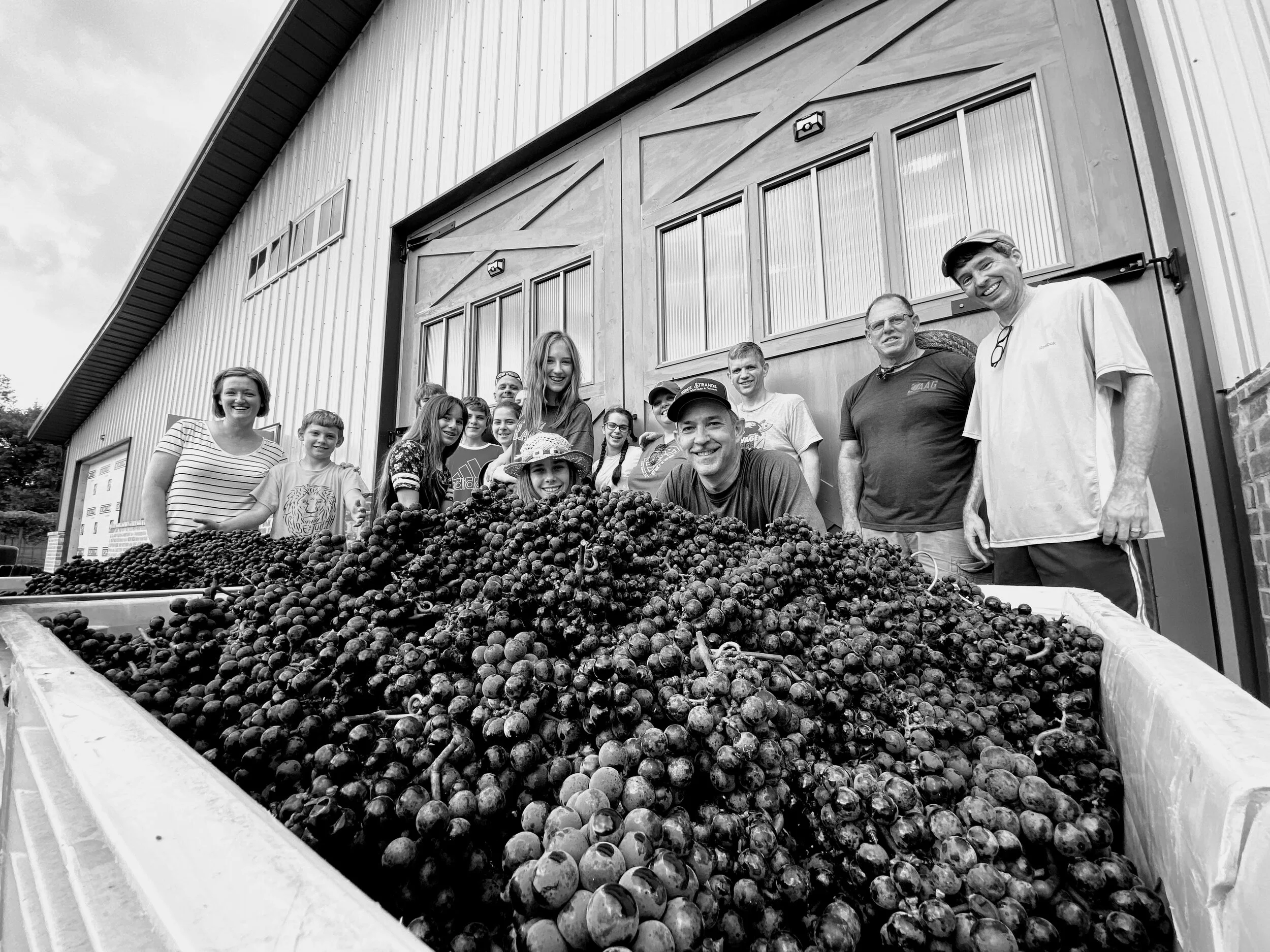 Three Strands Winery and Vineyard