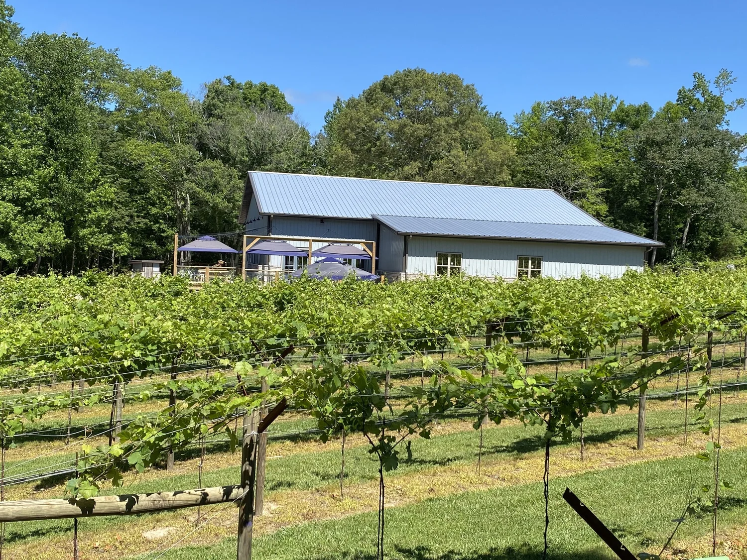 Tasting Room — Three Strands Vineyard and Winery