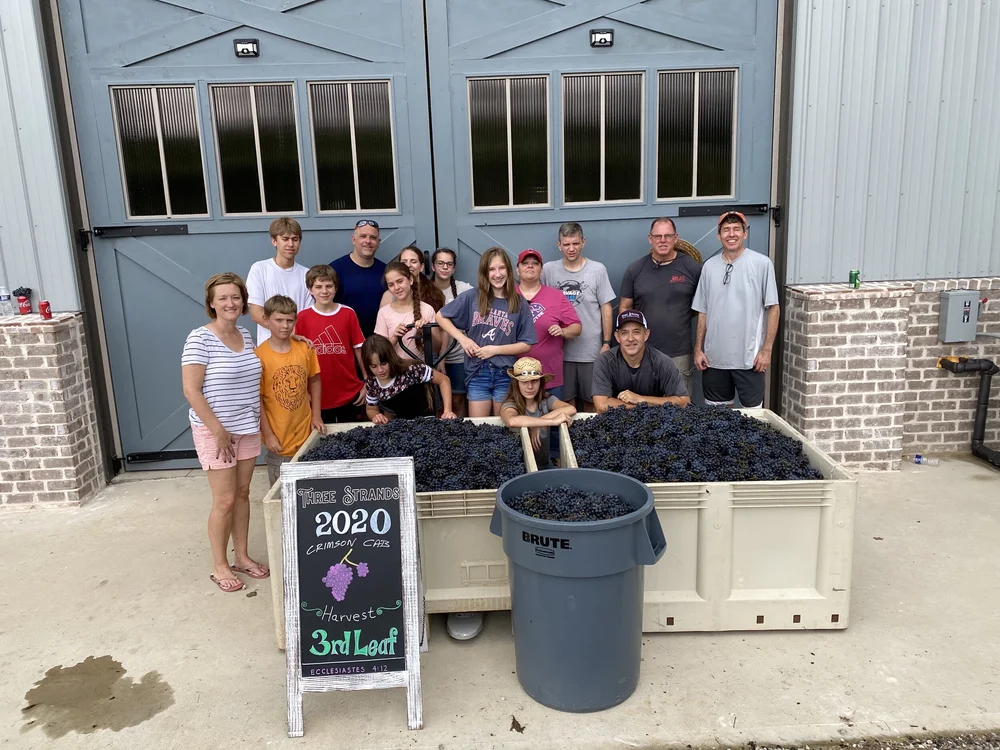 Our Winery — Three Strands Vineyard and Winery