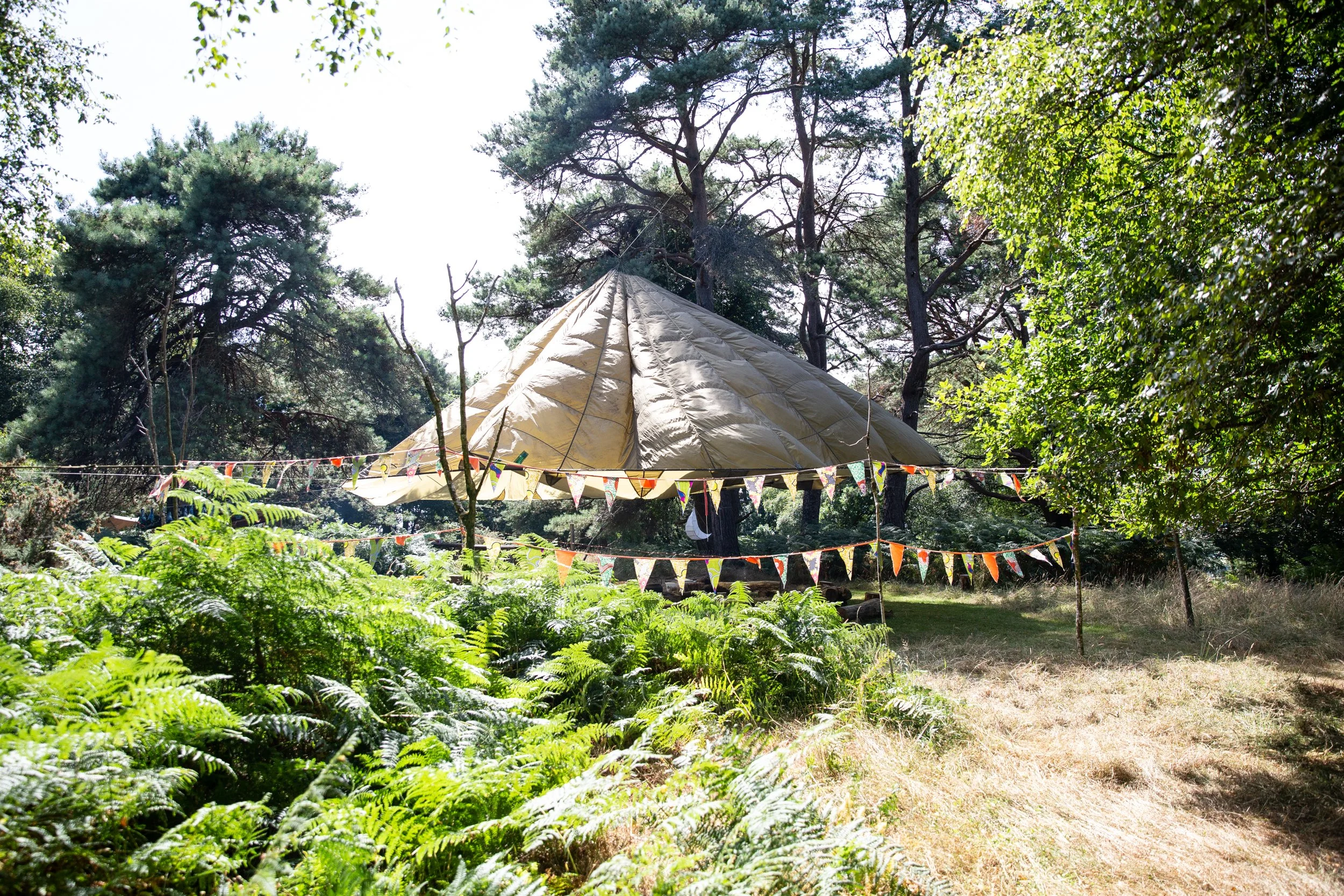 Family Camp — TRILL ON THE HILL - A wild place for nature and people