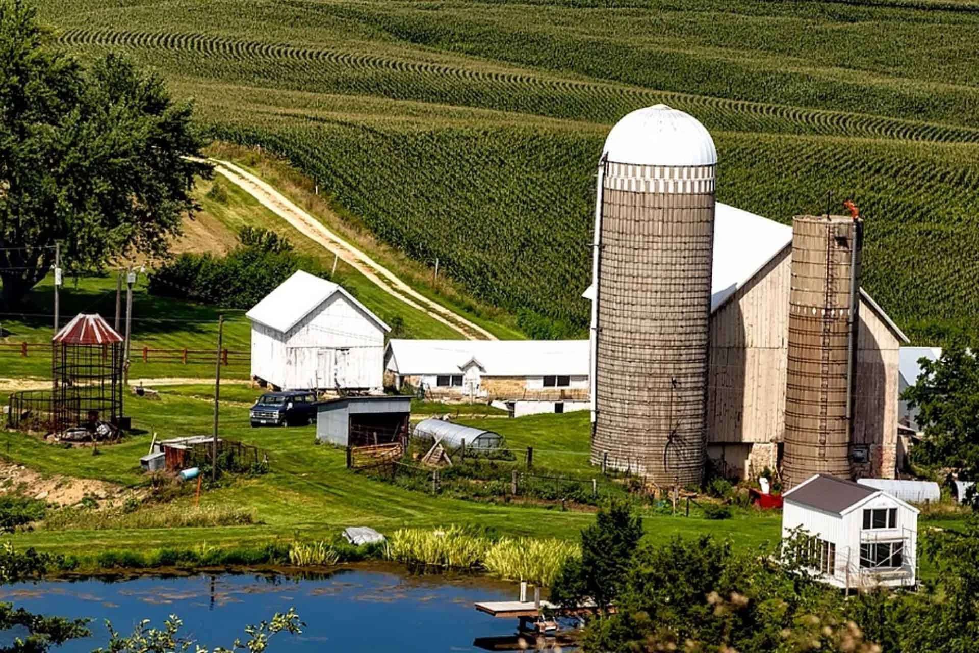 Silo vs Grain Bin: What Should You Go For? — Wall Grain Handling Systems