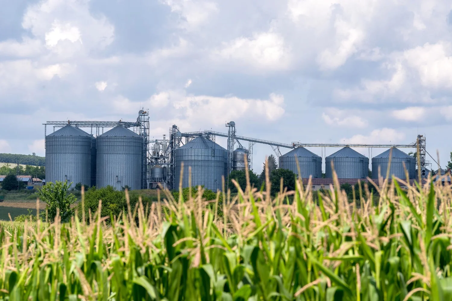 The Latest Grain Drying Techniques for Modern Farming — Wall Grain ...