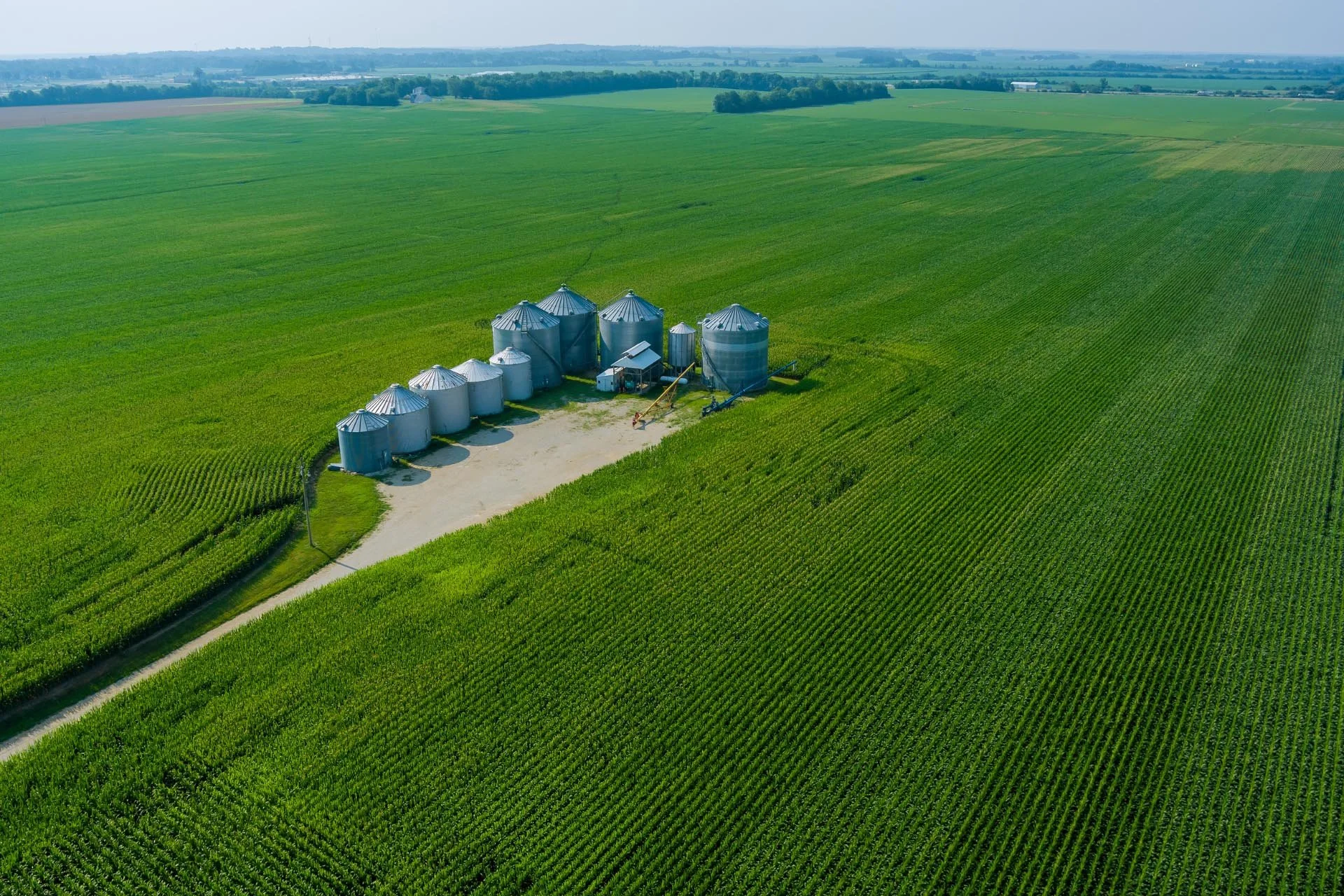Maximizing Efficiency with Grain Drying Silos — Wall Grain Handling Systems
