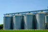 automated grain management