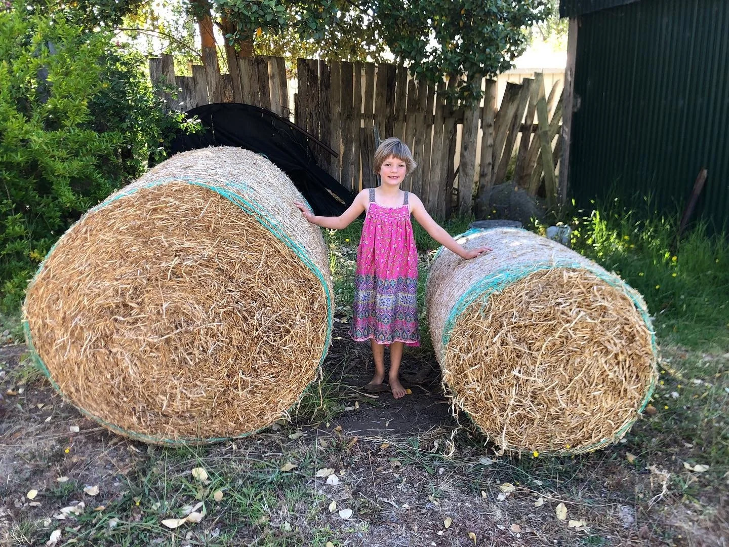 Shop — Goodies Farm