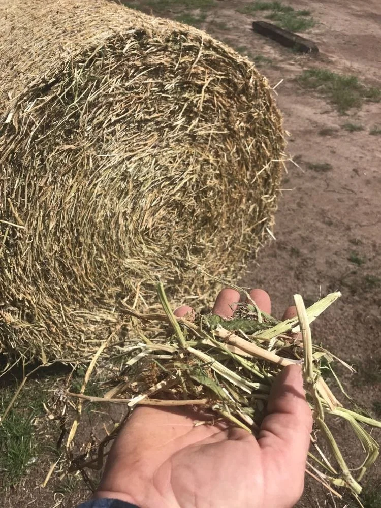 Shop — Goodies Farm