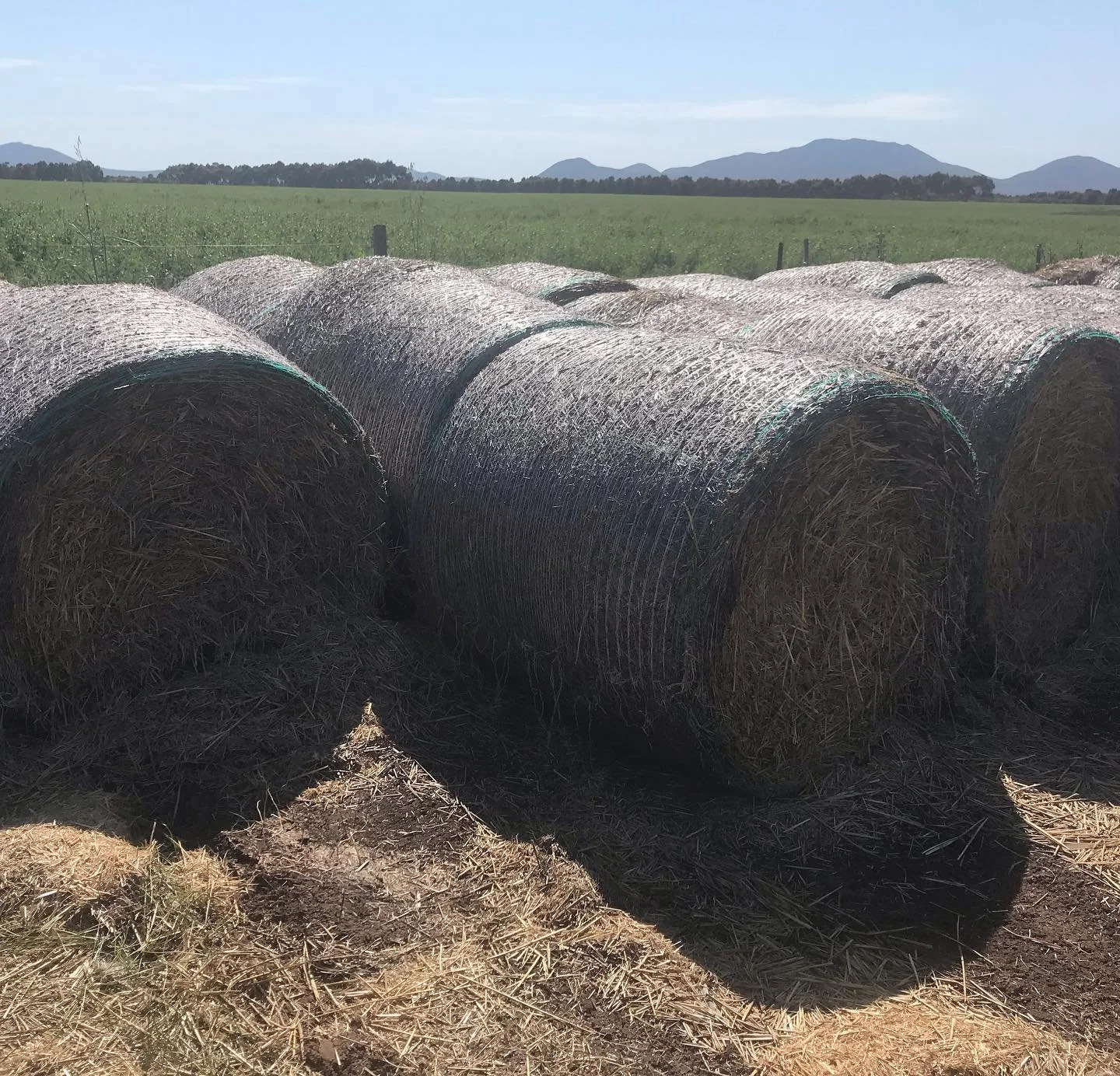 Shop — Goodies Farm