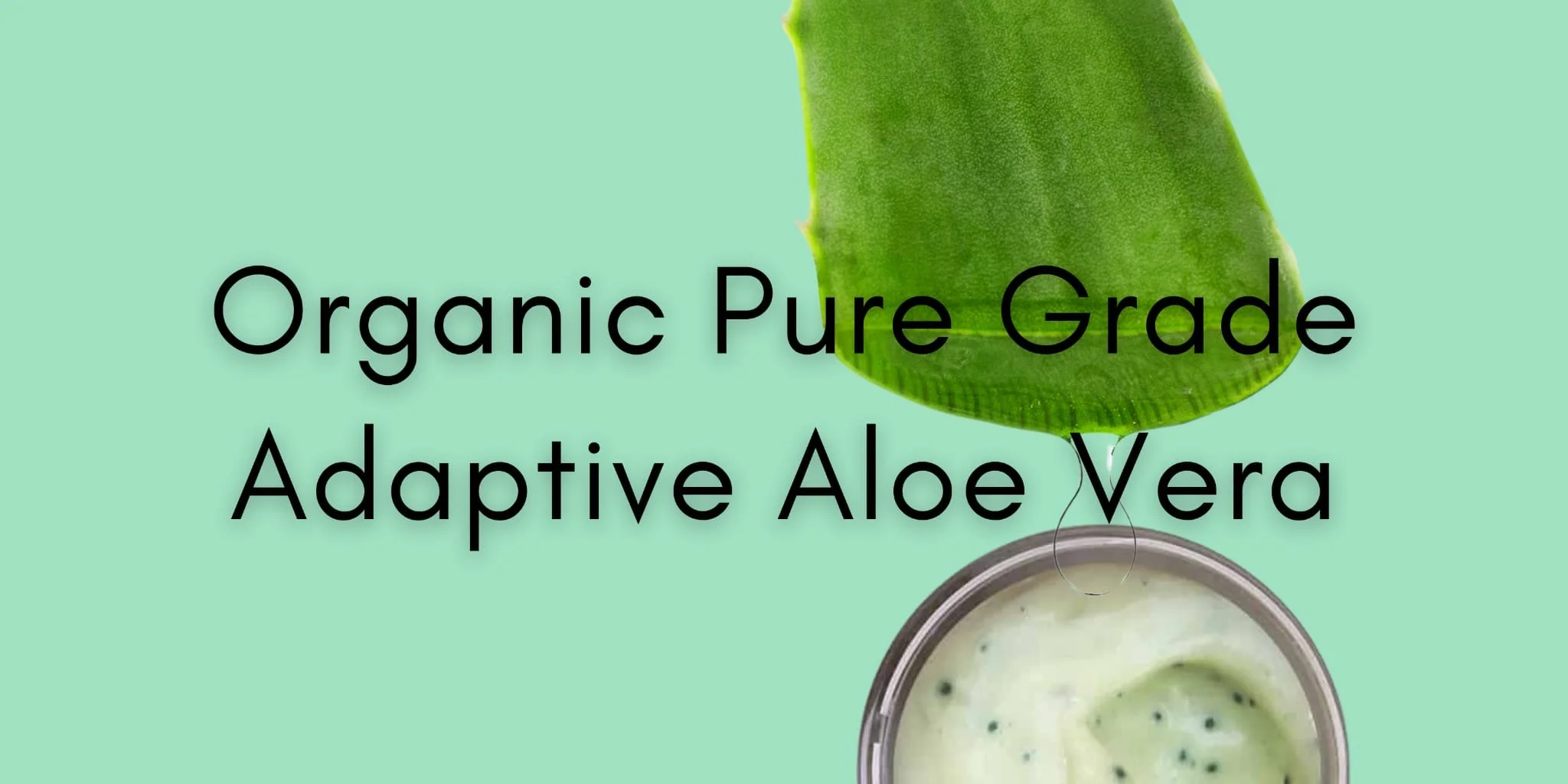 Gleem Beauty™ - Organic Aloe Vera Skincare Products