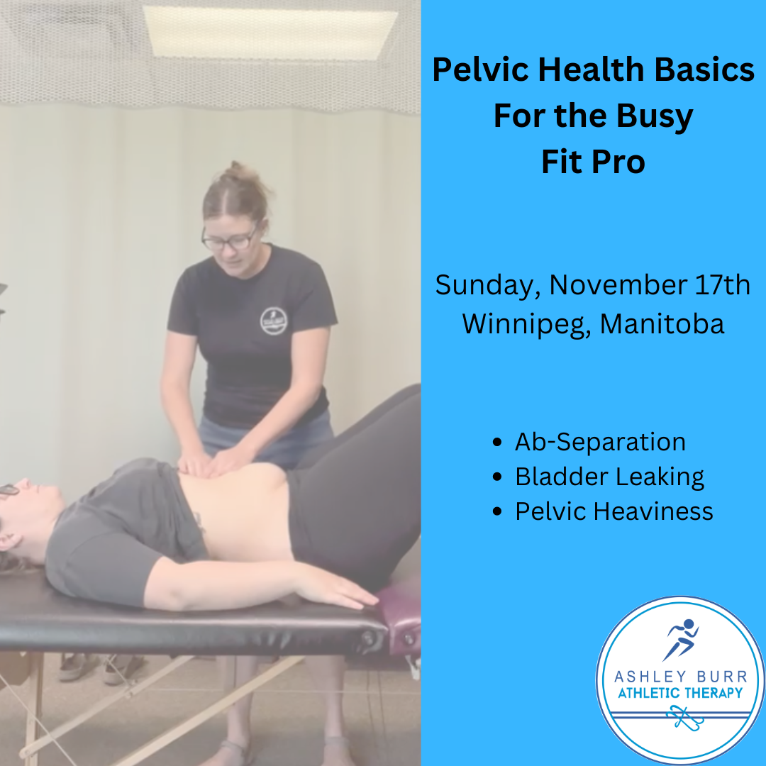 Pelvic Health Basics — Ashley Burr Athletic Therapy
