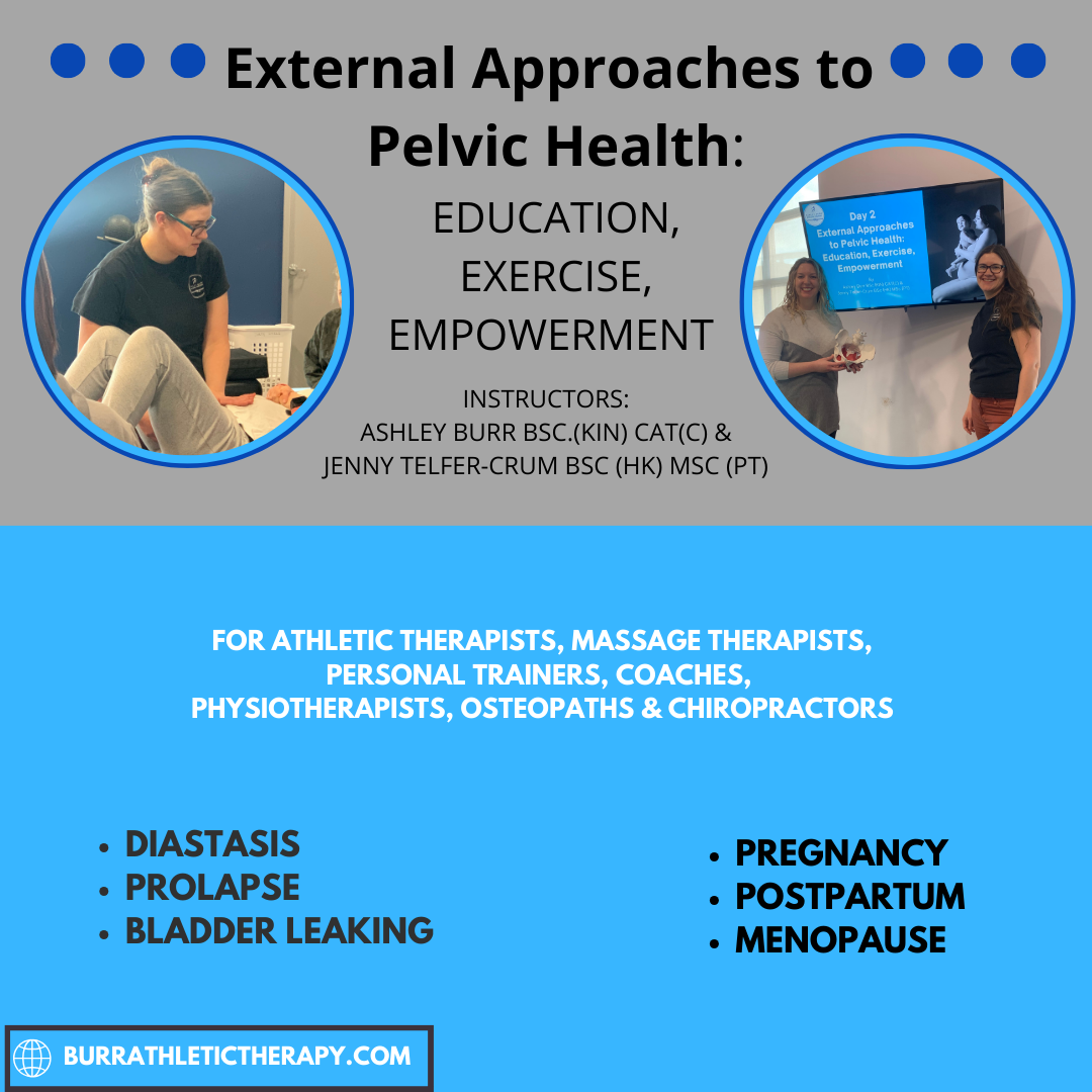 External Approaches to Pelvic Health — Ashley Burr Athletic Therapy