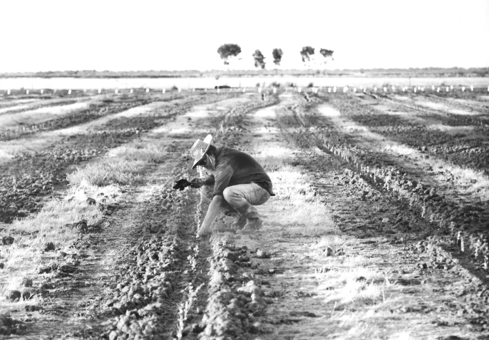 A Vision Splendid — talkingcountry.com.au