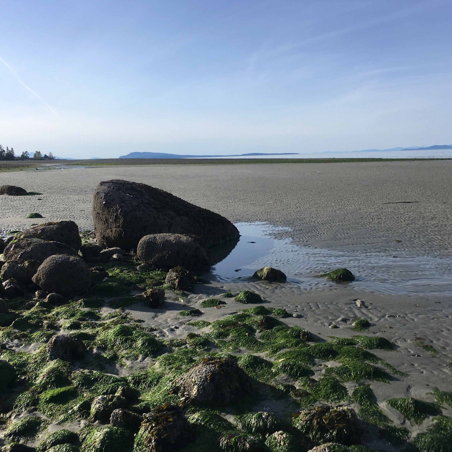 Debbie Flynn Photography Debbie Flynn Photography