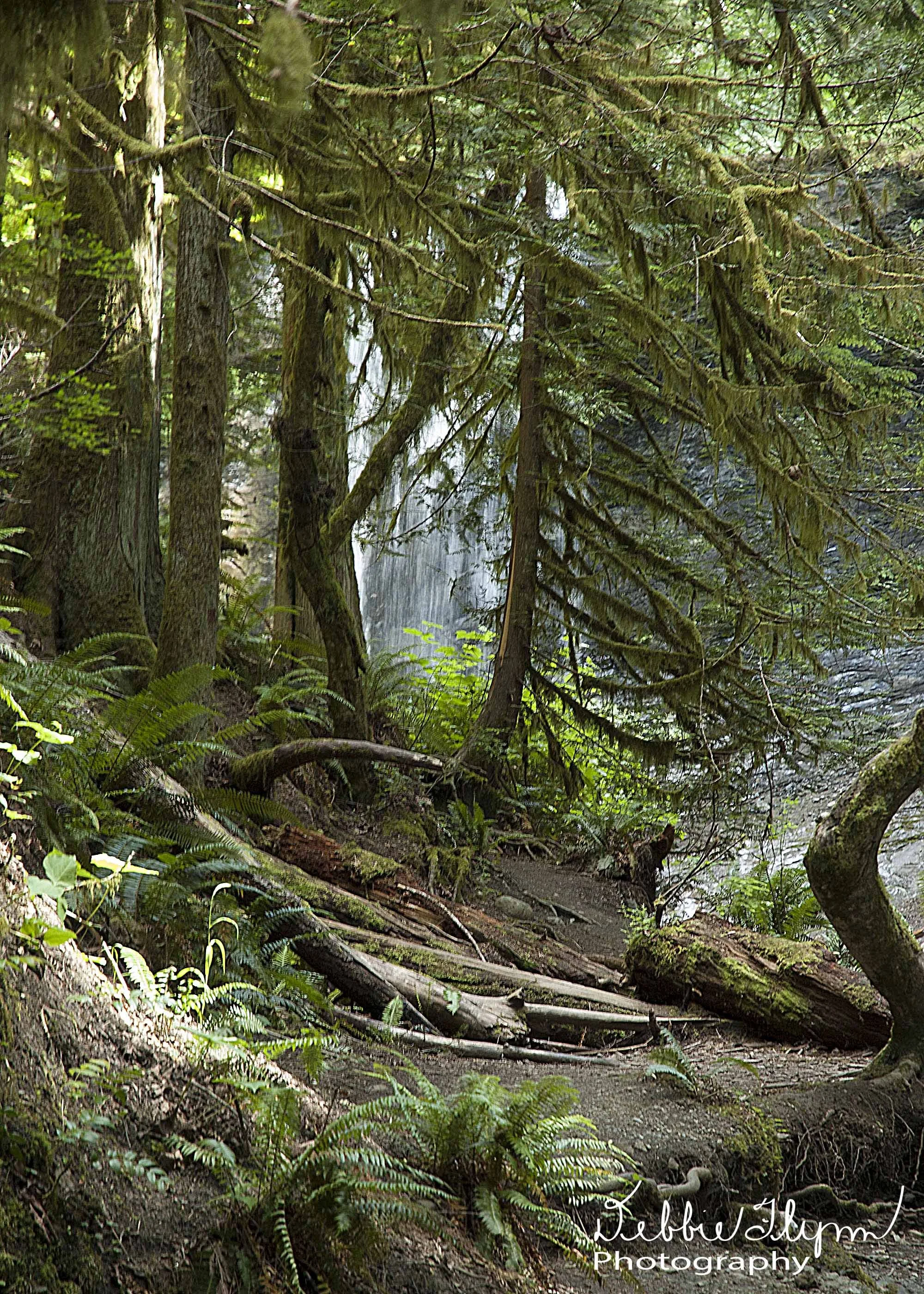 Debbie Flynn Photography Debbie Flynn Photography