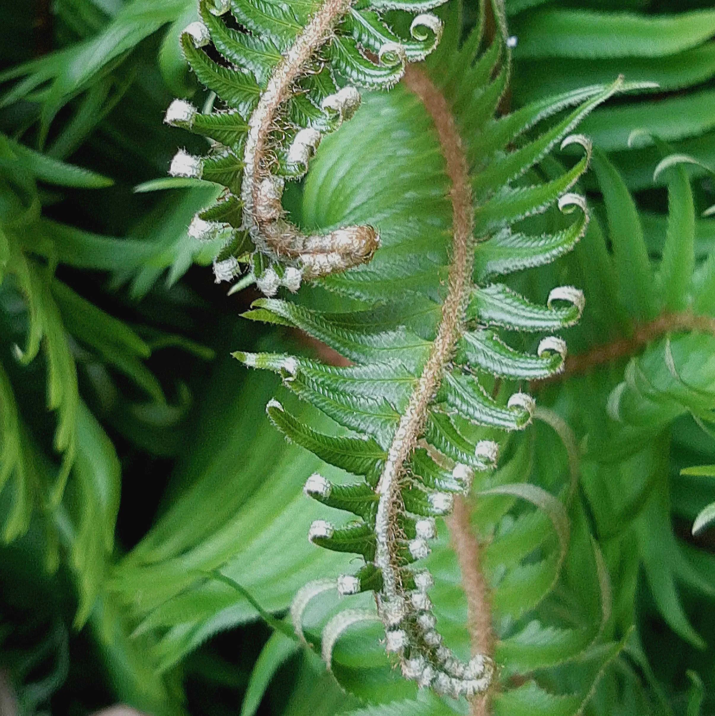 Debbie Flynn Photography Debbie Flynn Photography