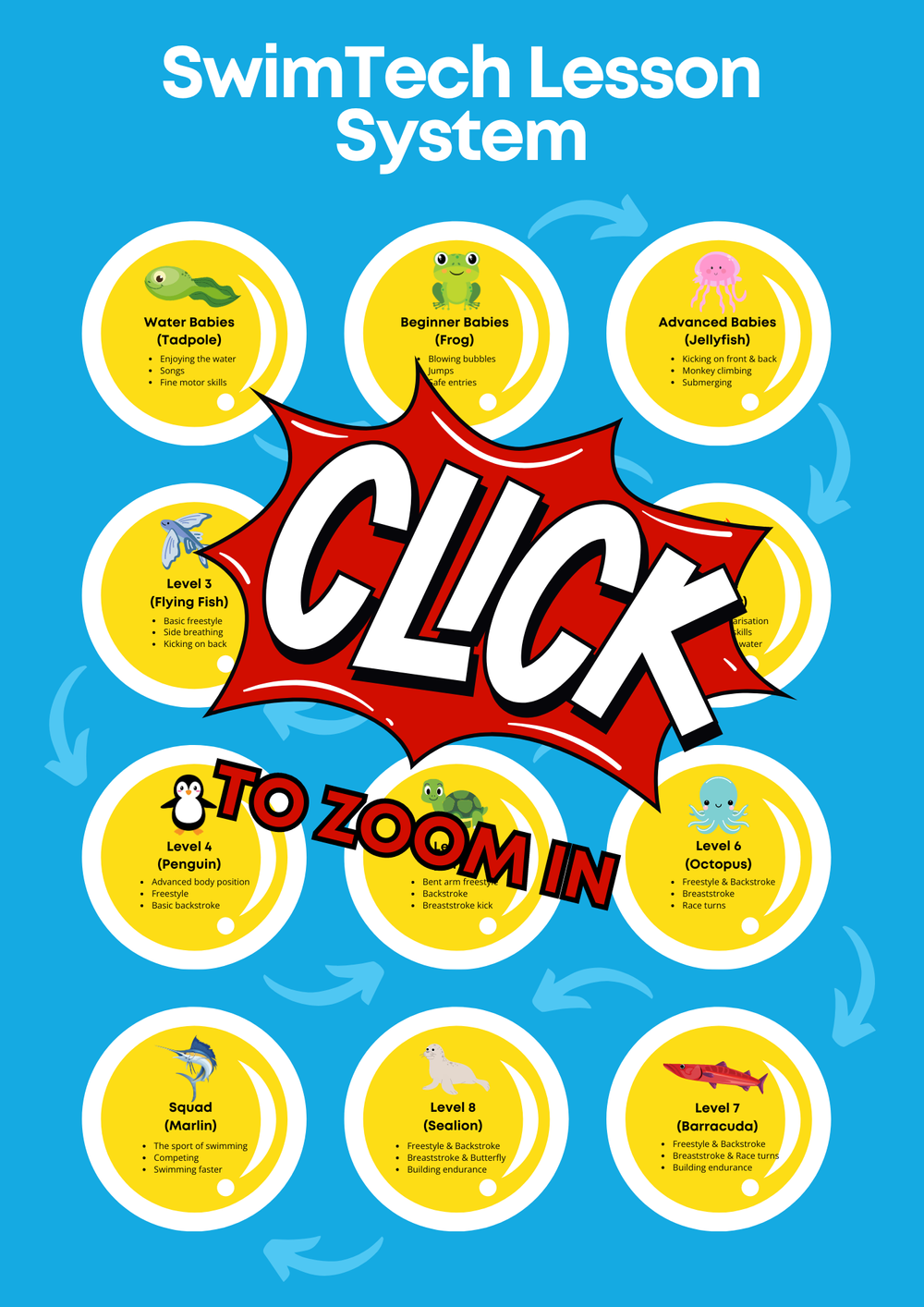 Parent's Page - SwimTech Albury | Resources & Information for Swim Parents — SwimTech Albury