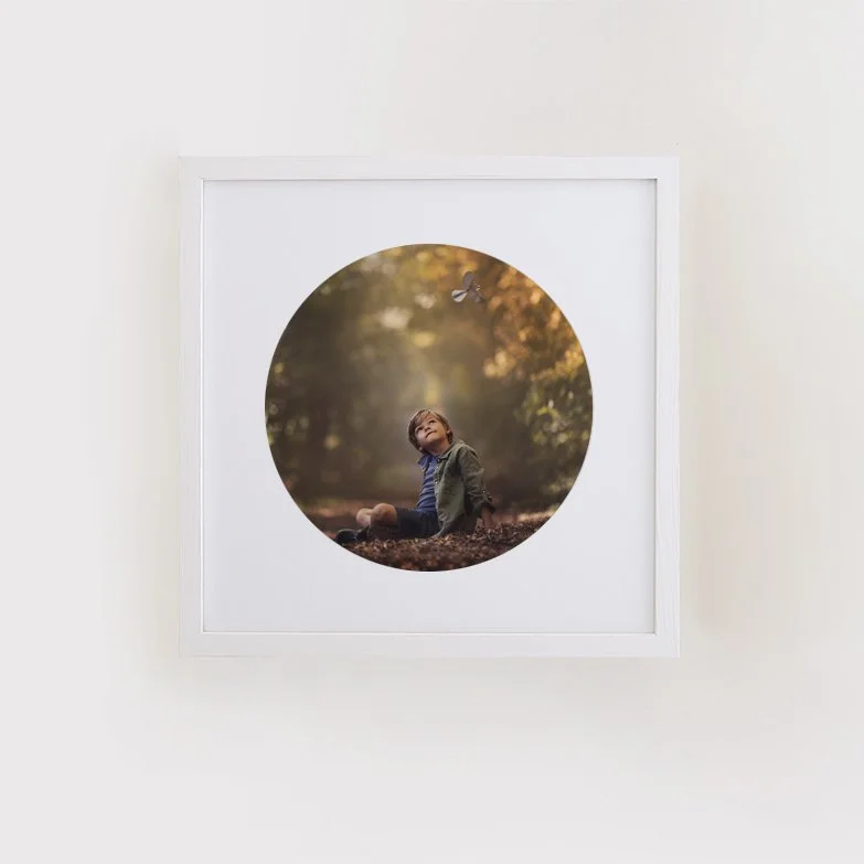 Fantail Portraits — Jenna Young Photography