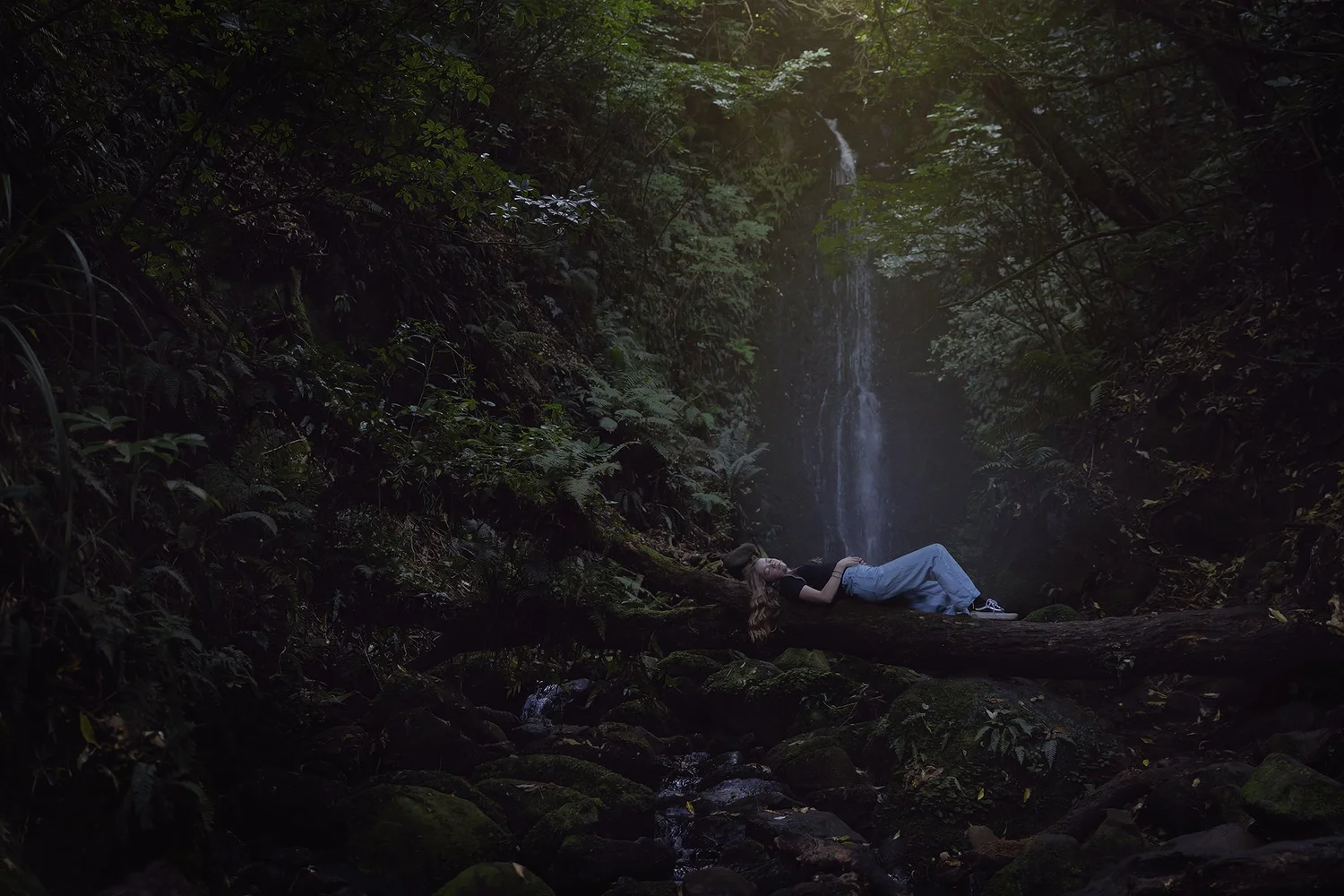 Nicols Falls, Dunedin — Jenna Young Photography