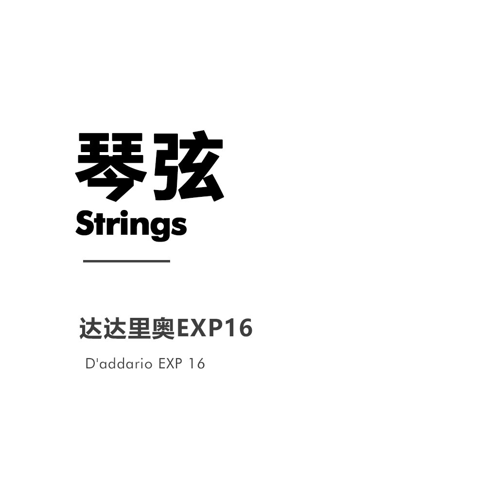 X1 Pro — ENYA MUSIC，恩雅乐器官网