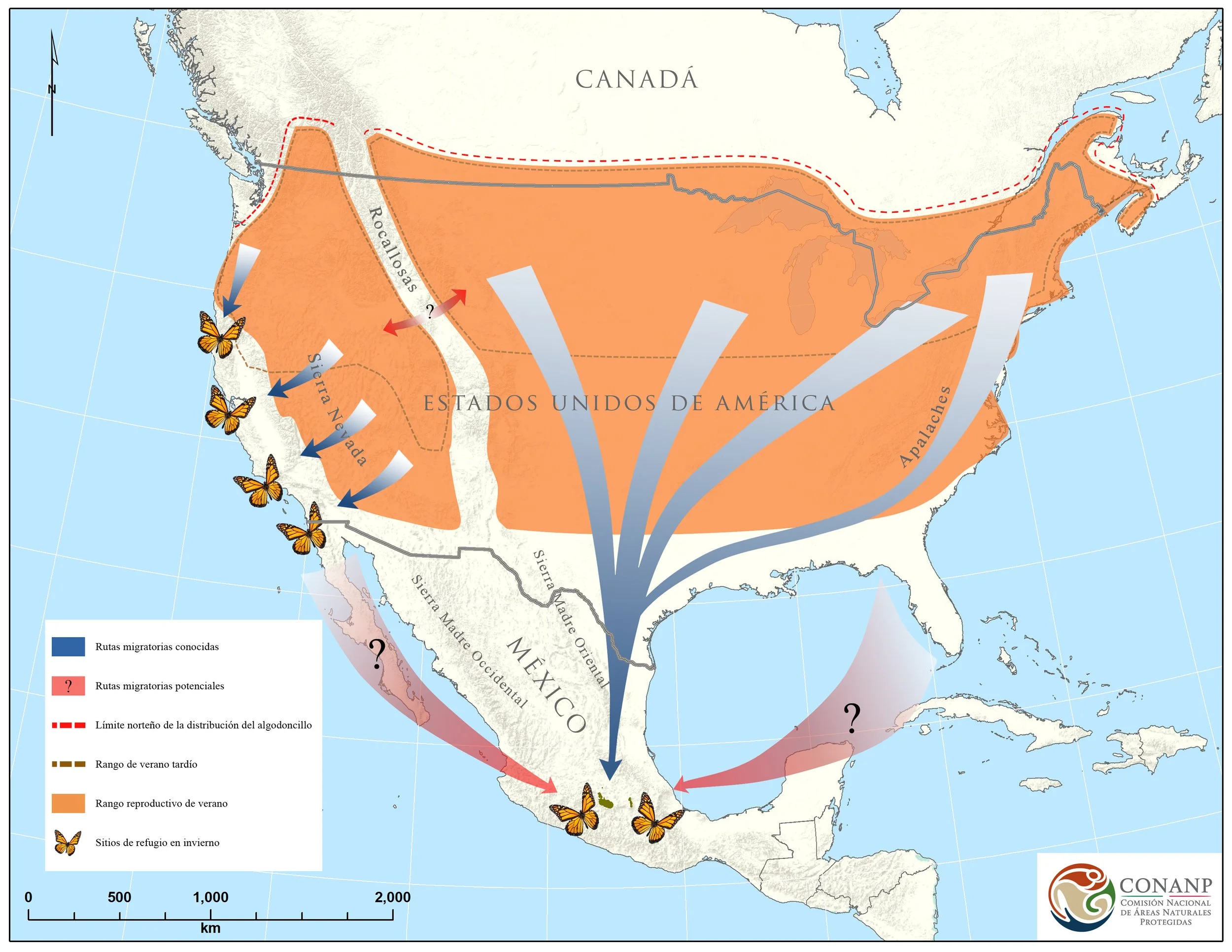 Ruta Migratoria — Fondo de Conservación del Eje Neovolcánico, A.C.