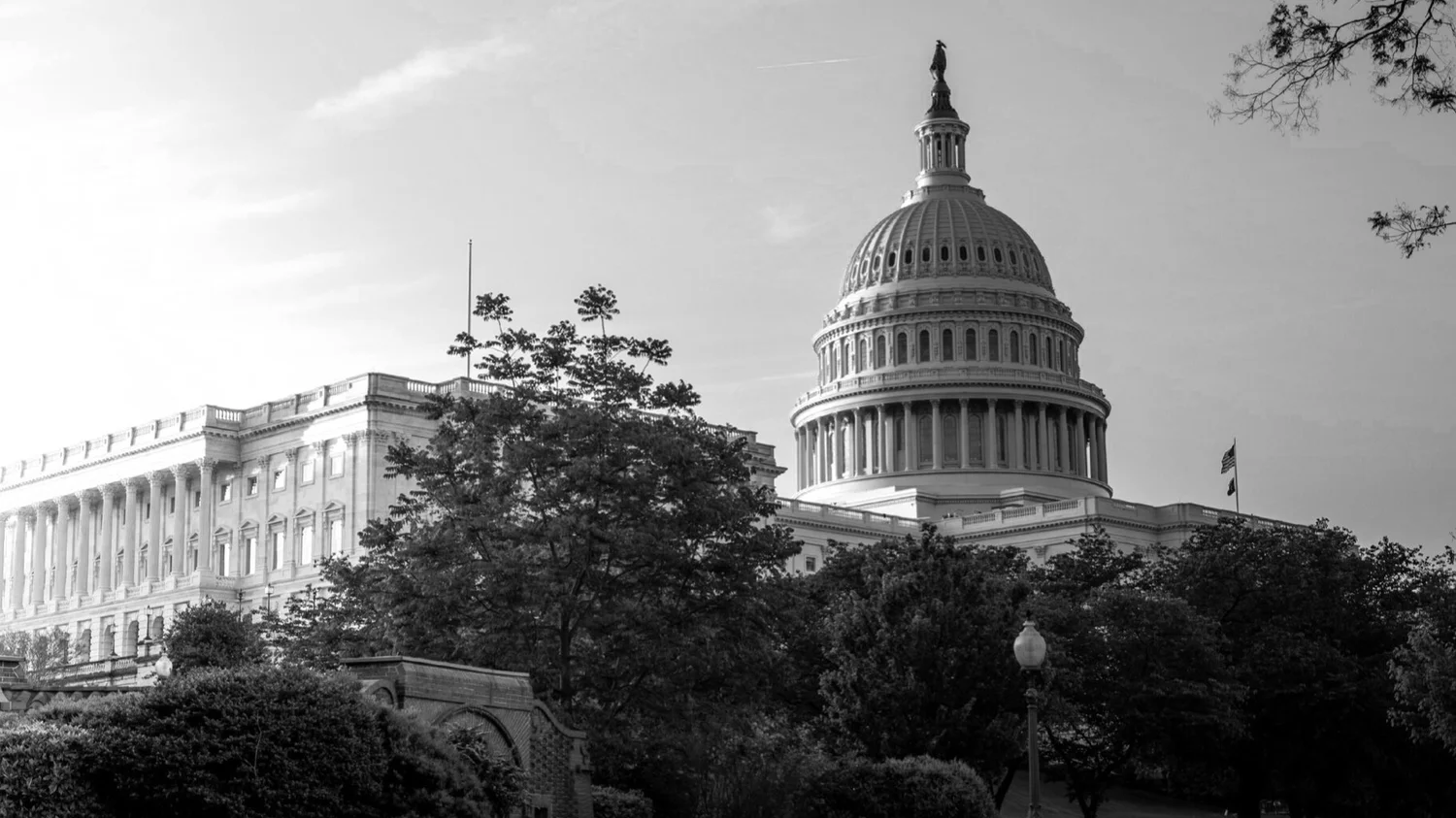 Team — The Global Situation Room Inc.