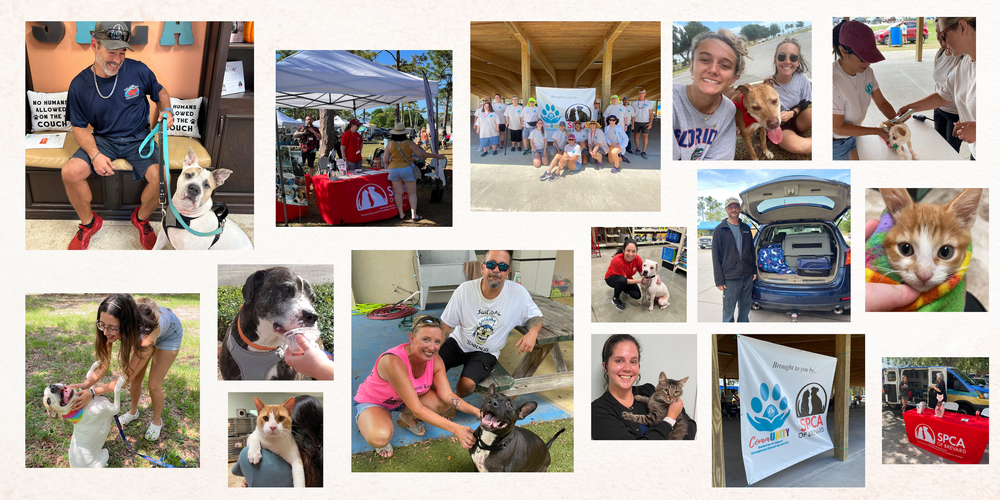 Community Resources | Pet Support Resources — SPCA of Brevard