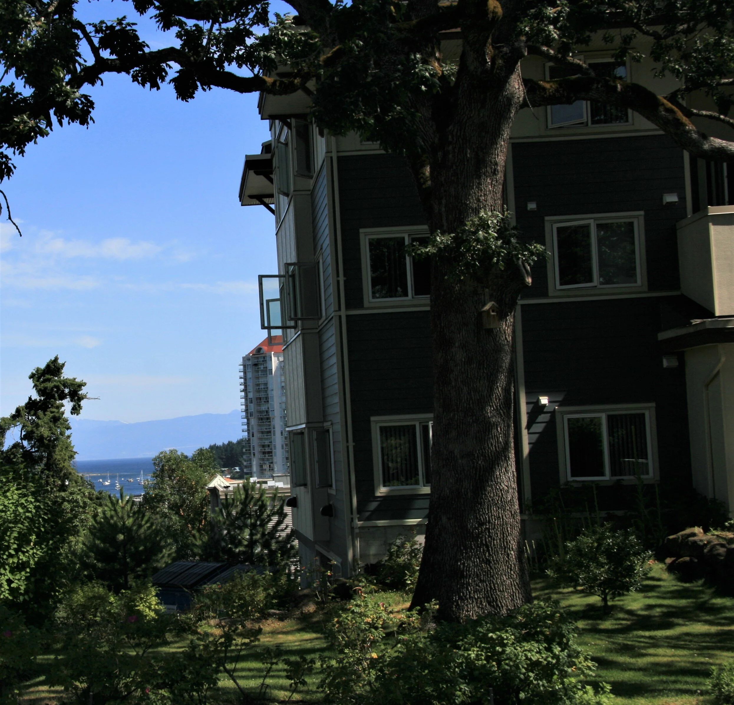 Photos — Oak Tree Manor