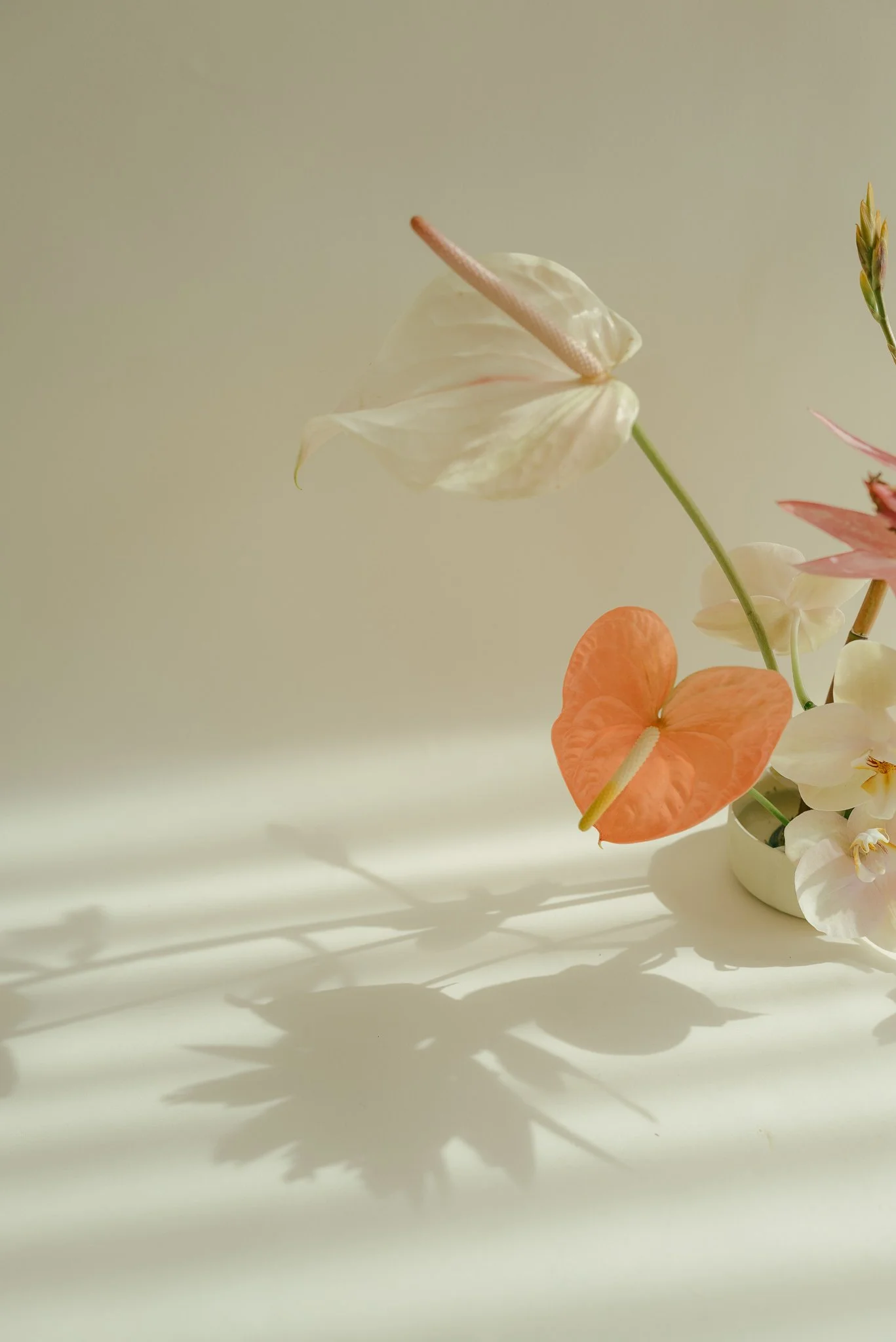 Portfolio — RAY FLORETS