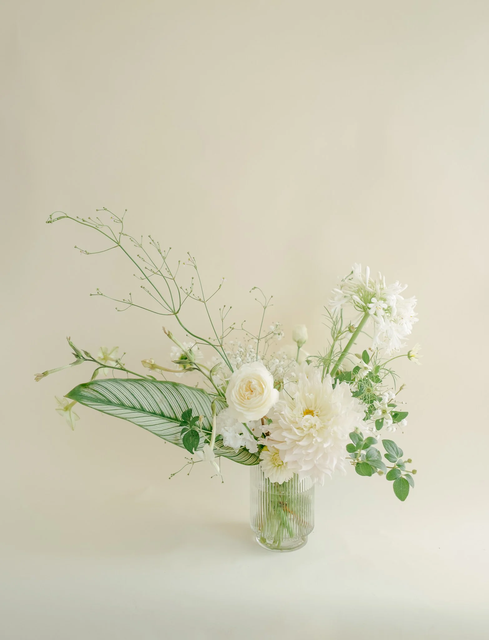 Portfolio — RAY FLORETS