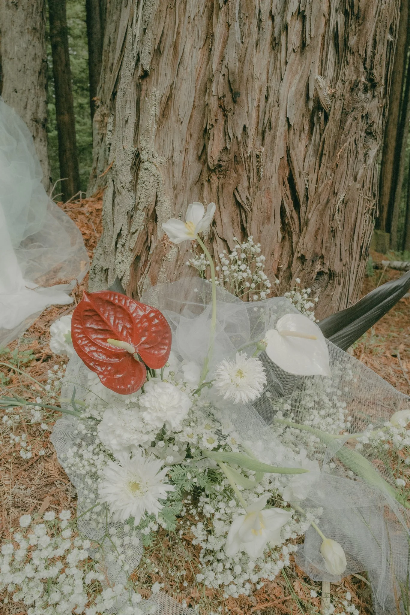 Portfolio — RAY FLORETS