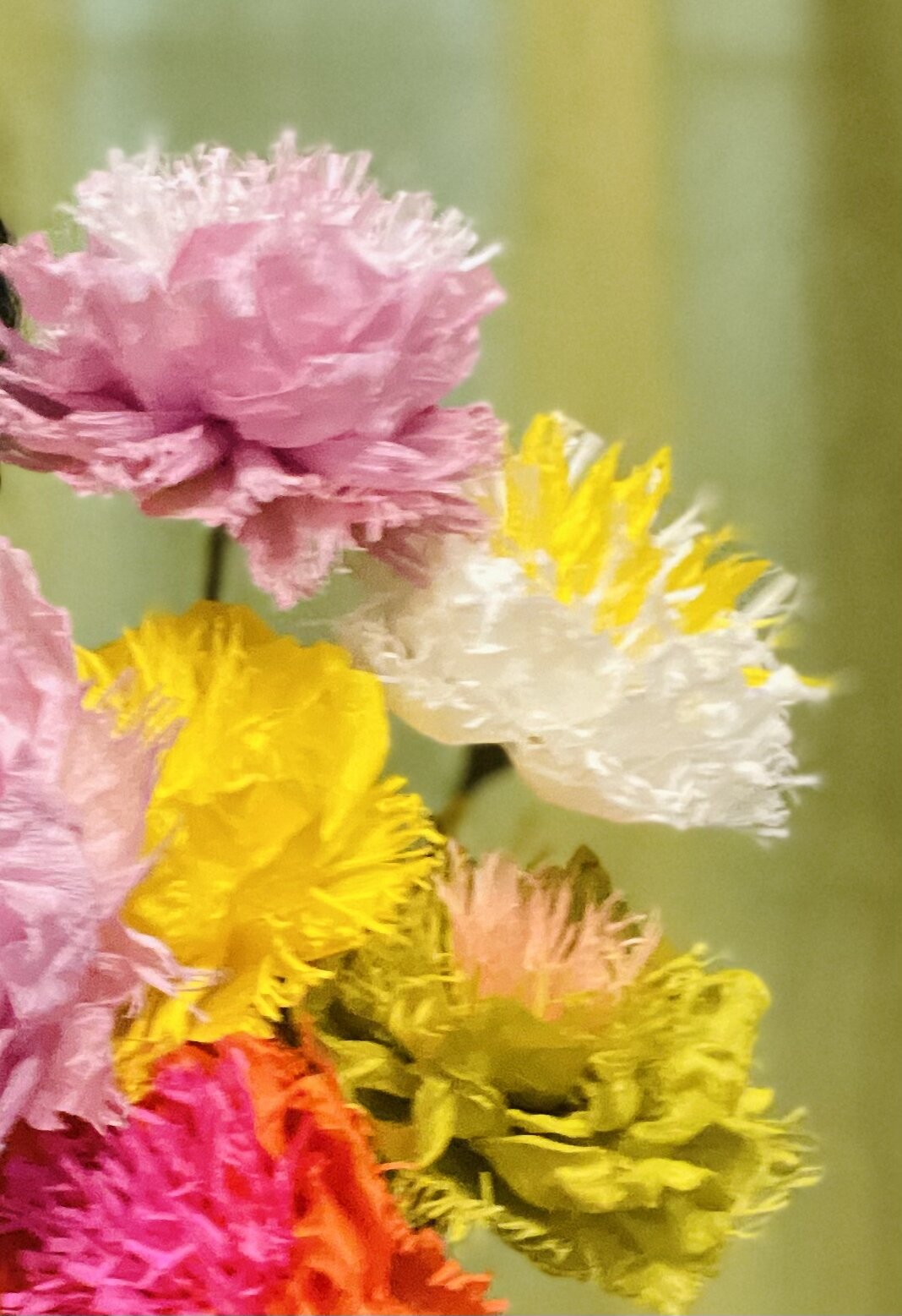 flora shoppe — give paper flora