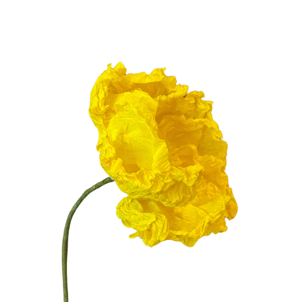 flora shoppe — give paper flora