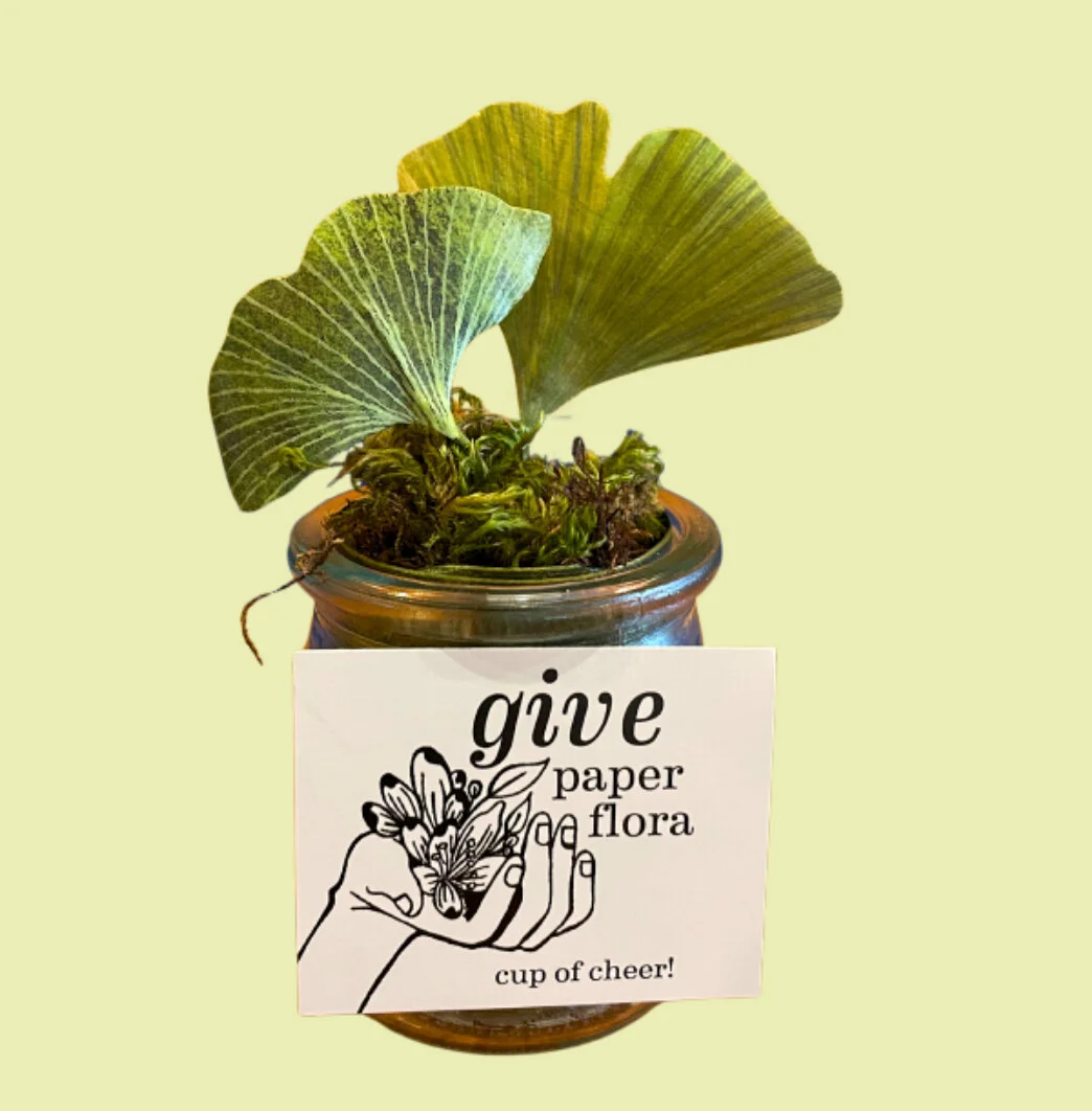 flora shoppe — give paper flora