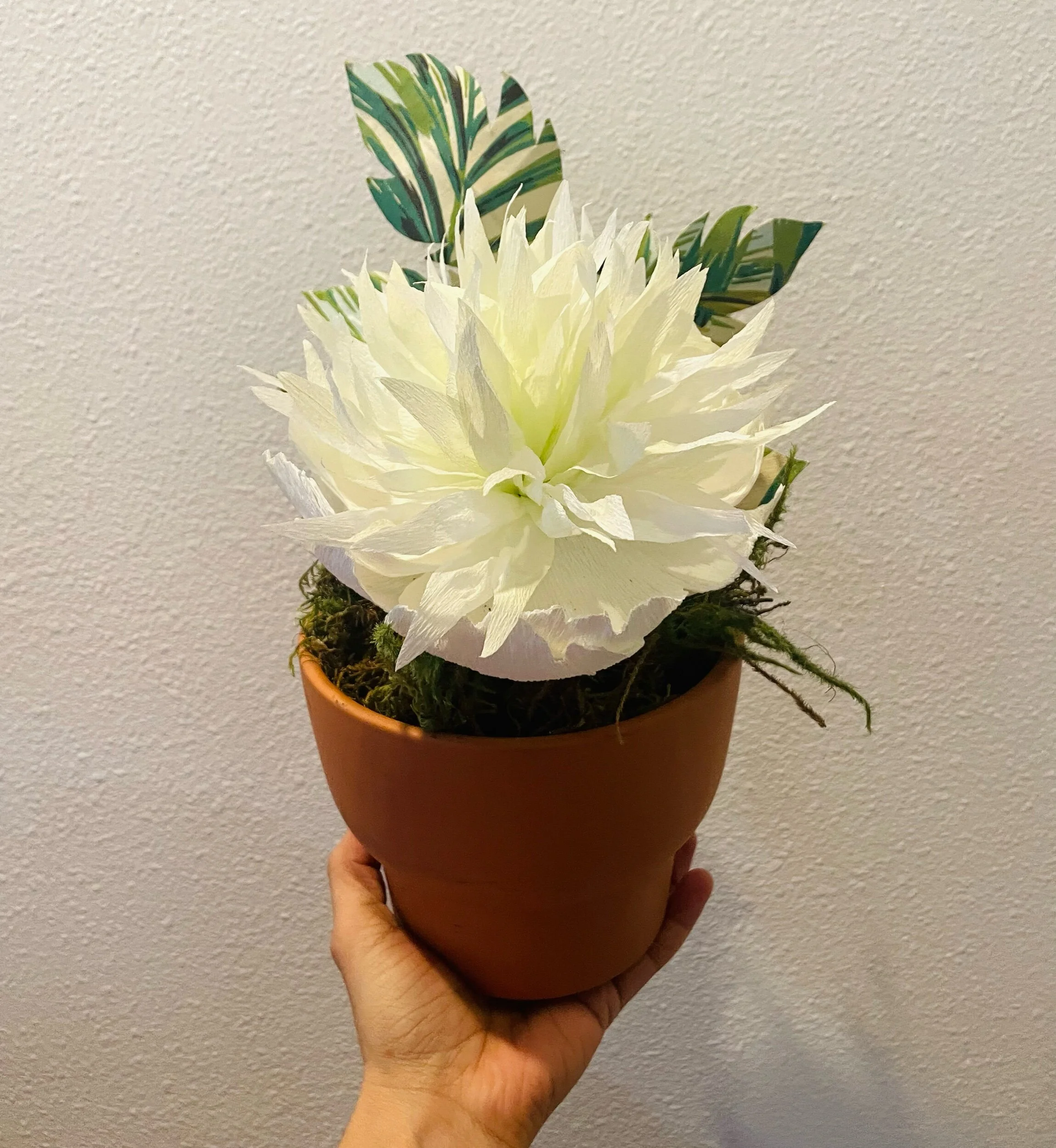 flora shoppe — give paper flora