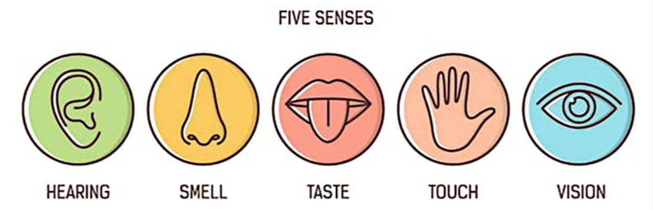 Caring for Your Senses with Ayurveda and Yoga - Zest for Yoga & Ayurveda