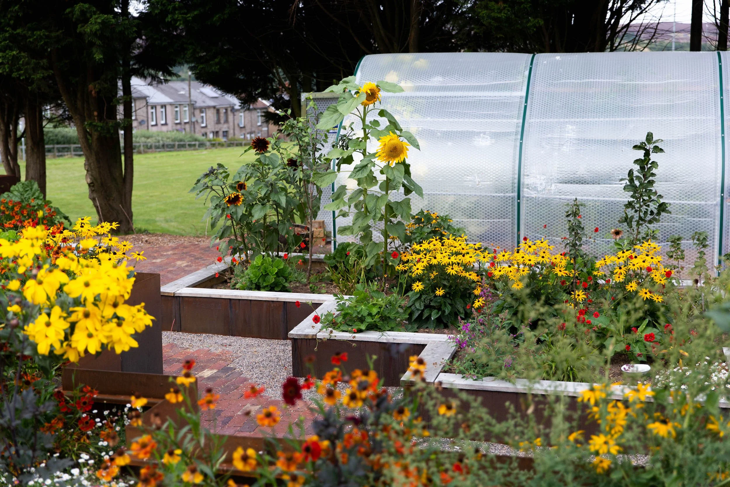 RHS Community Garden revisited — Victoria Wade