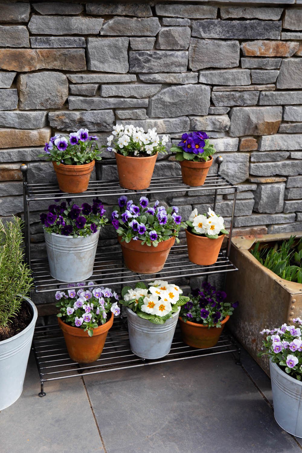 How to grow plants in pots — Victoria Wade