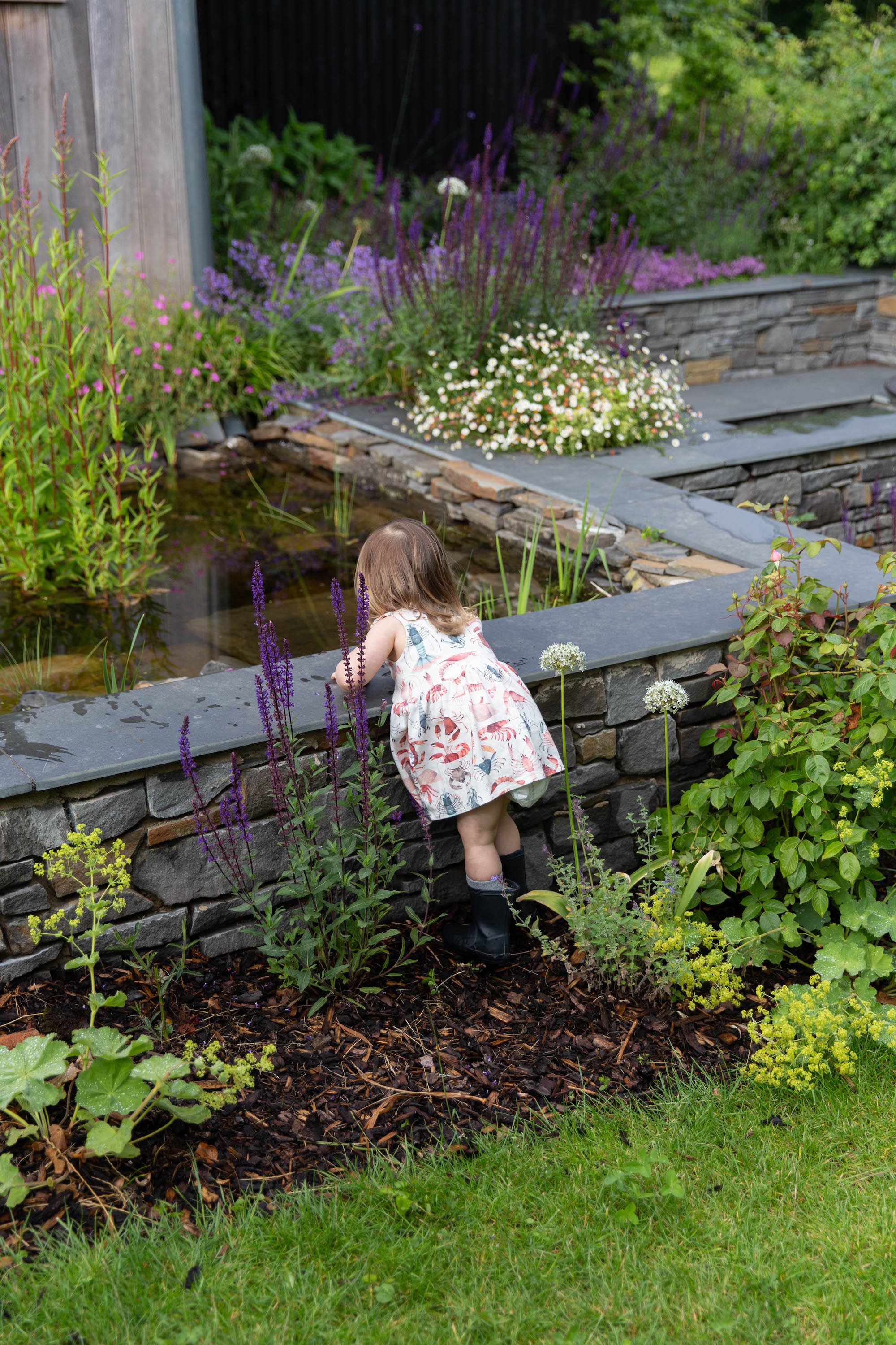 How to build a wildlife pond — Victoria Wade