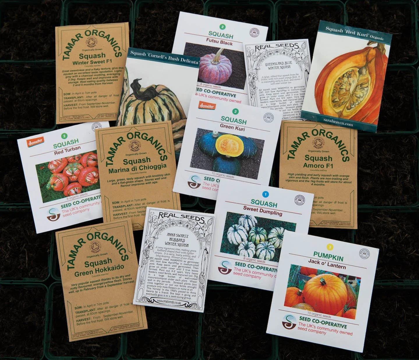 Where to buy seeds — Victoria Wade