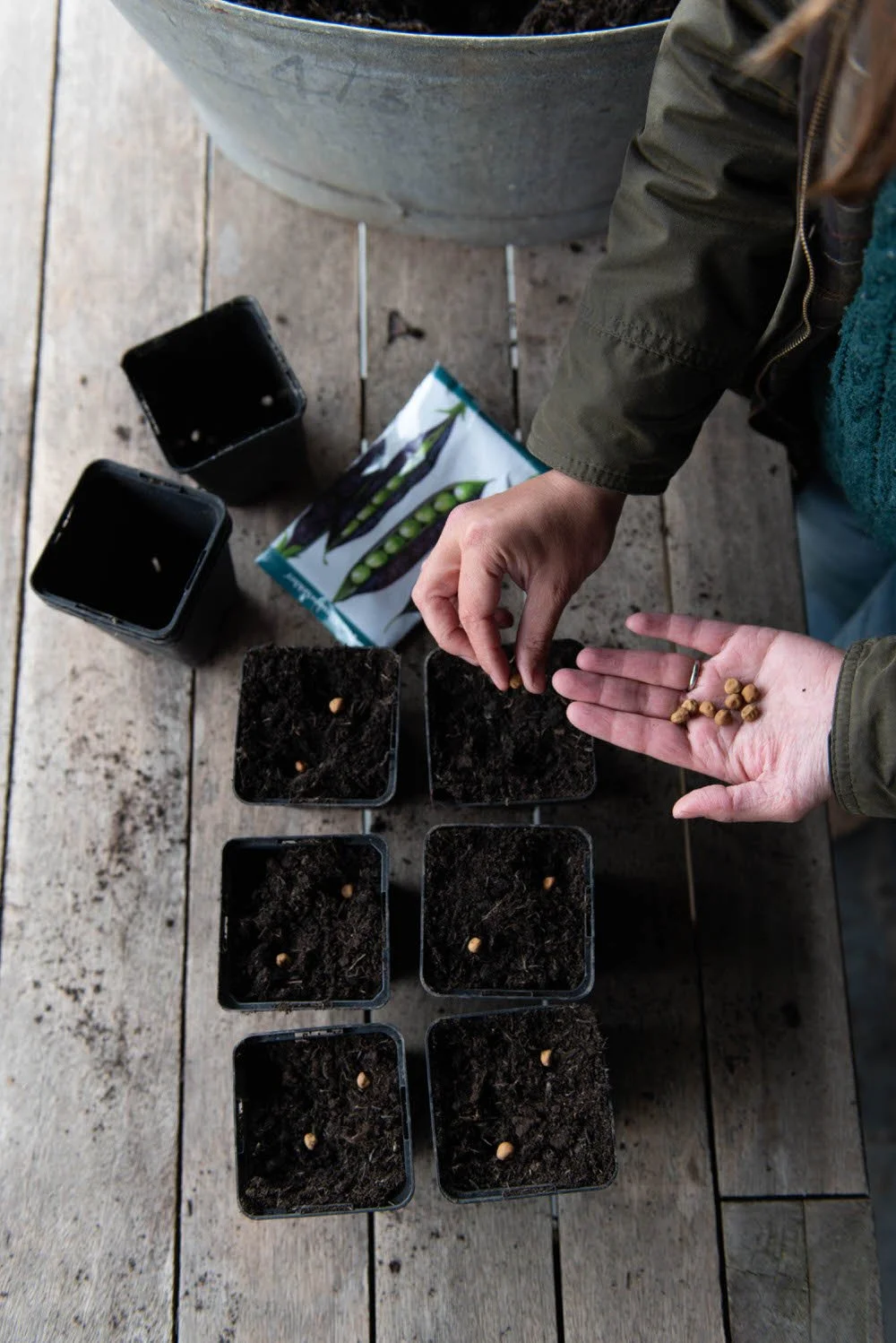 How to choose the right compost — Victoria Wade