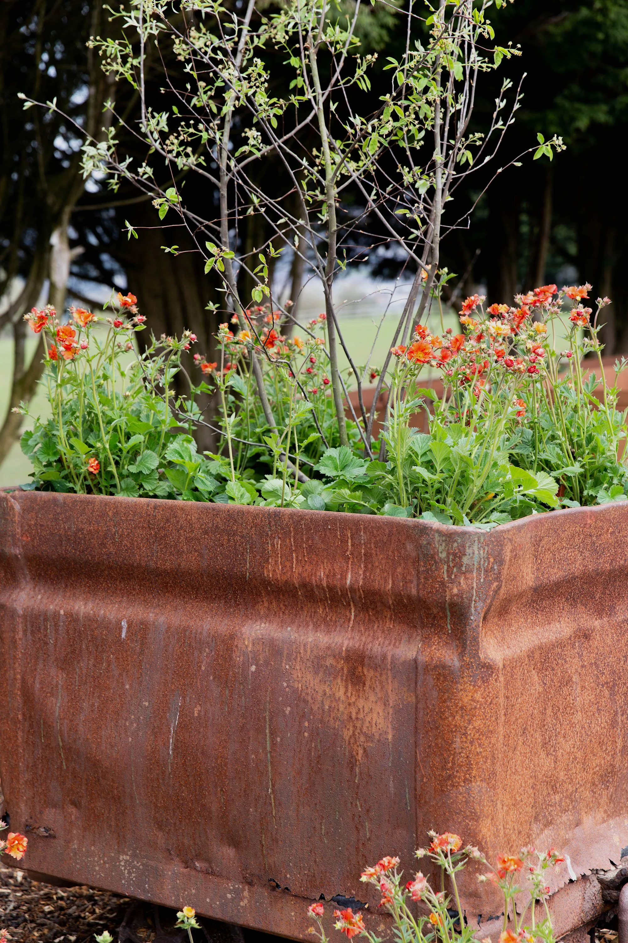 Creating a coronation container — Victoria Wade